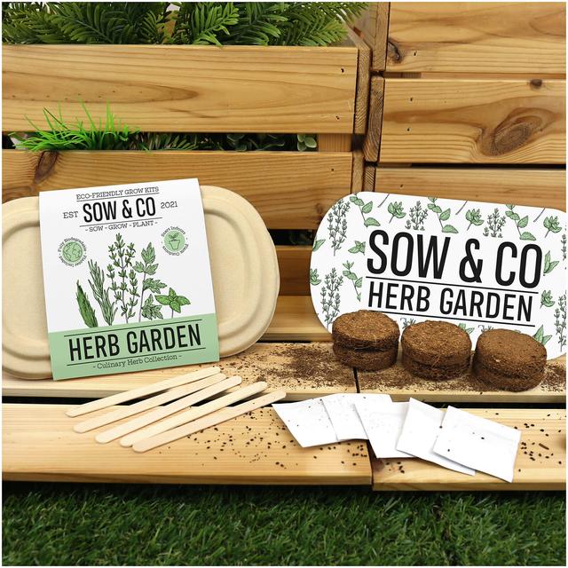 Sow and Co Grow Kit - Herb garden | Productcaster